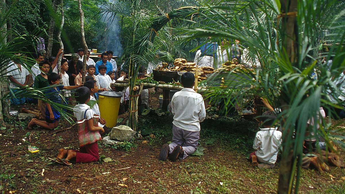 Caracterización general de la experiencia del Proyecto Maya Chuy en el ...